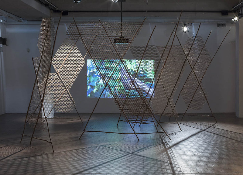 Toli Toli - Minia Biabiany